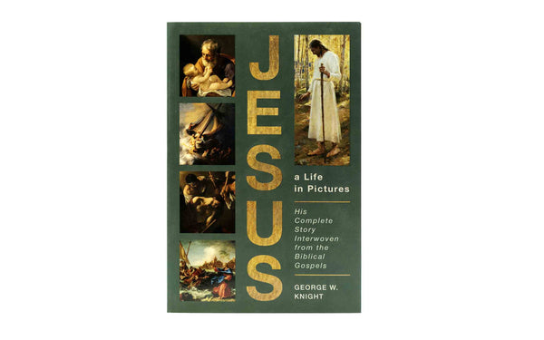 Jesus a Life in Pictures – BibleStore