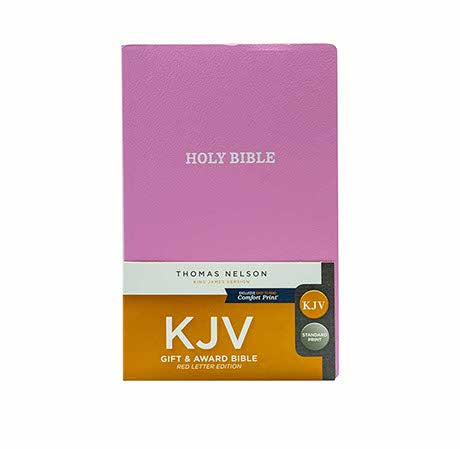 WHO'S HOLDING YOUR LADDER – BibleStore